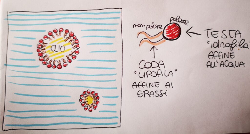 Ciencia en la cocina: Emulsiones. Qué son y cómo hacerlos ...